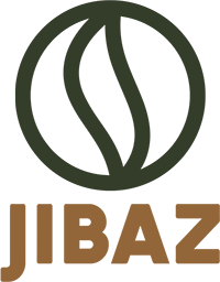 JIBAZ – Revolutionizing Unplug&play Experiences